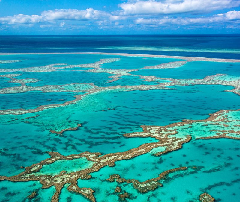 Viajes a Medida: Oceanía - Conexión Viajes